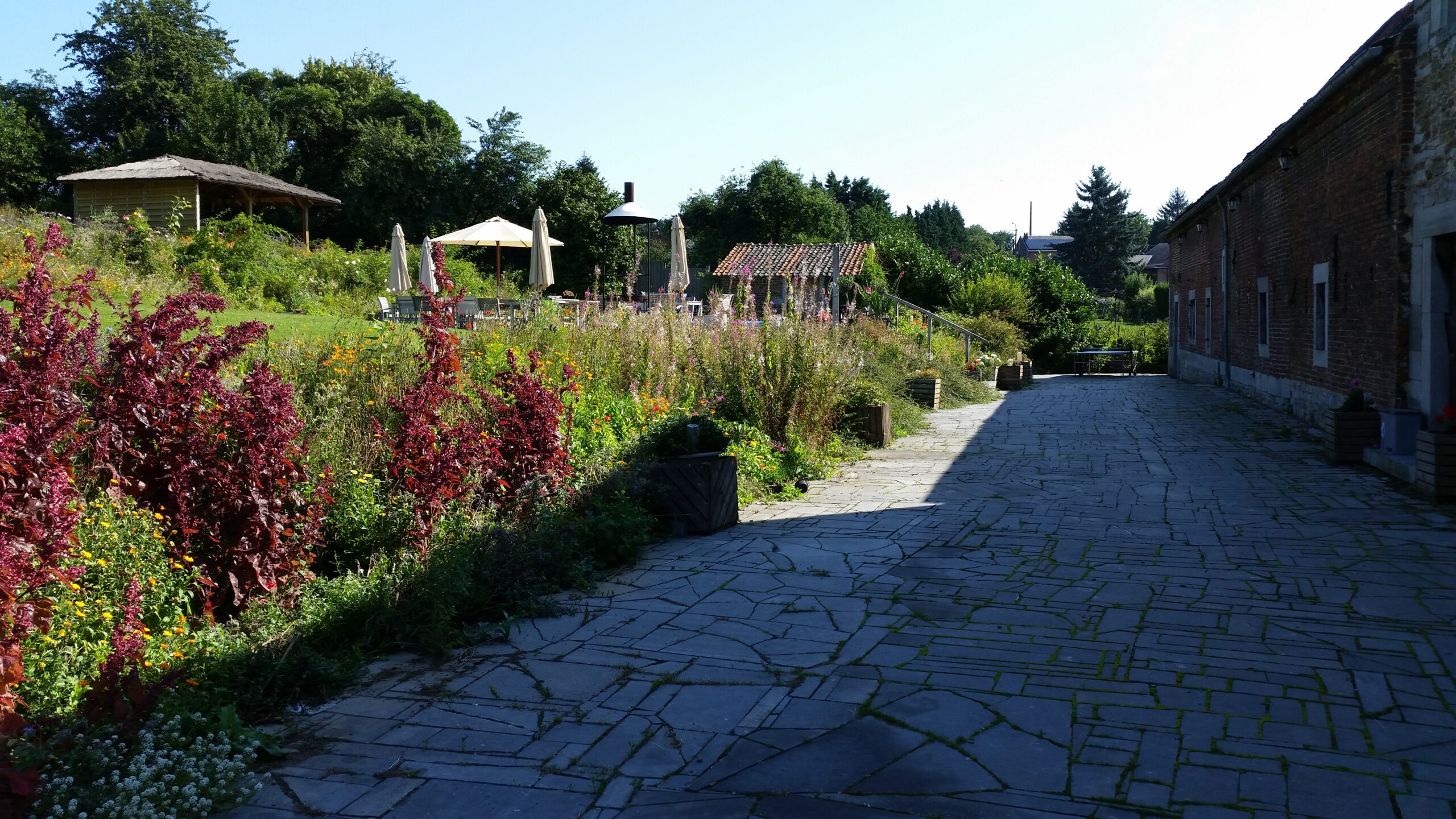 Le jardin – La Ferme des Capucines – La Ferme Des Capucines