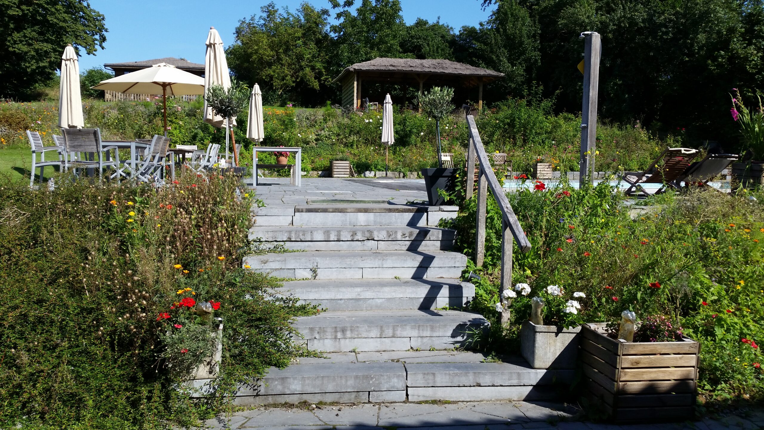 Le jardin – La Ferme des Capucines – La Ferme Des Capucines