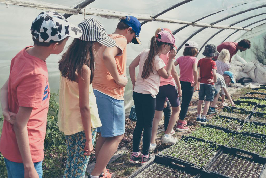 La Ferme des Capucines